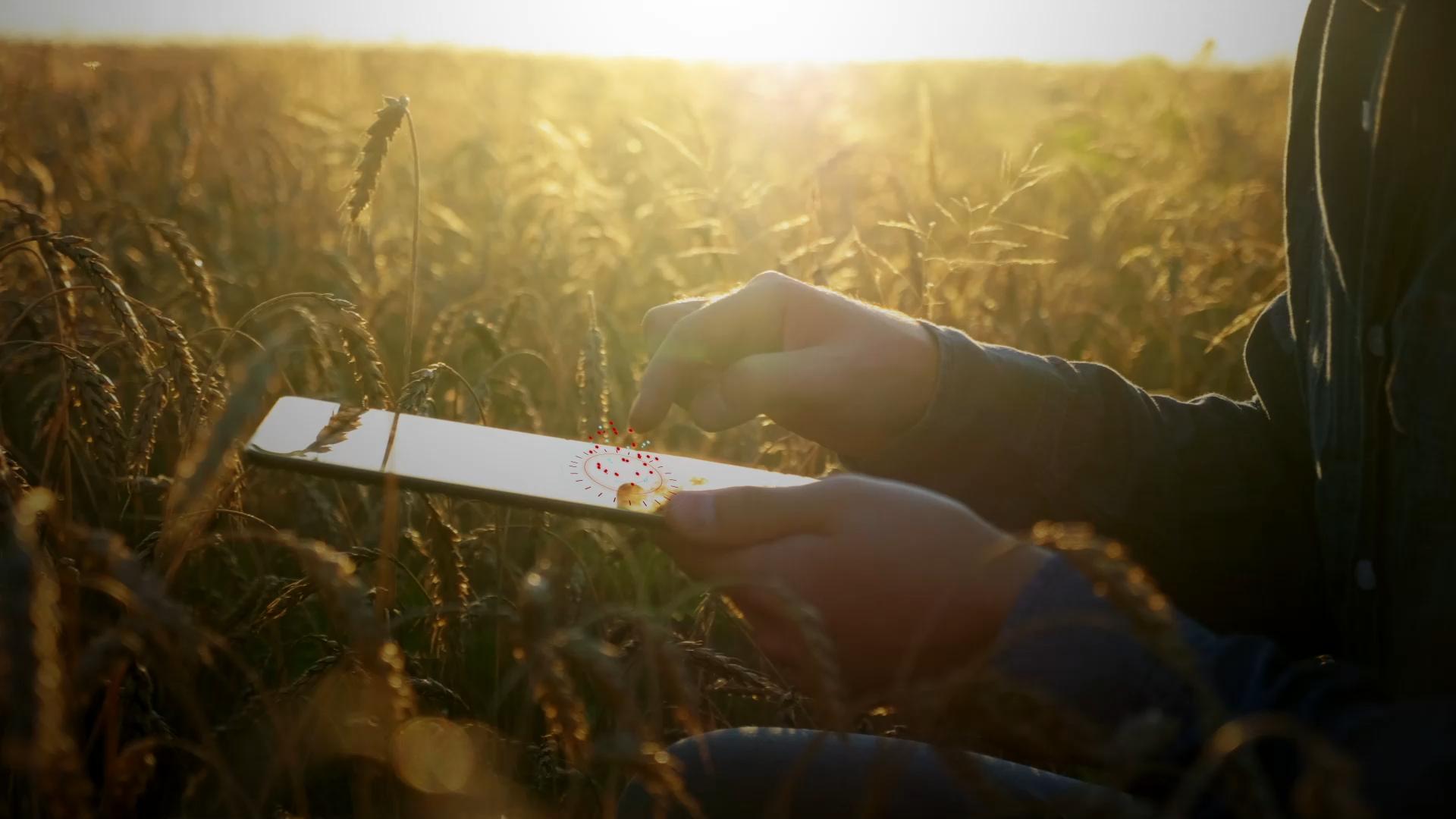 Upjao | AI Technology | Grain Analyser